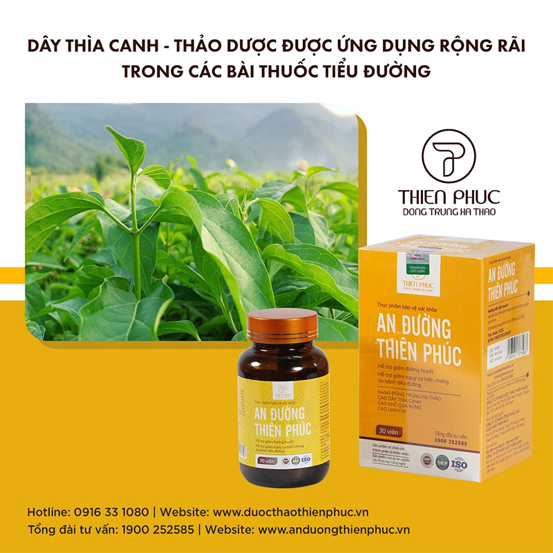 Dây thìa canh - Thảo dược quý trong hỗ trợ điều trị tiểu đường